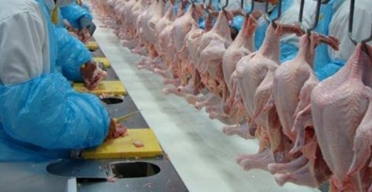 Frigorífico da Somave deve começar a operar em Passo Fundo nos próximos ...