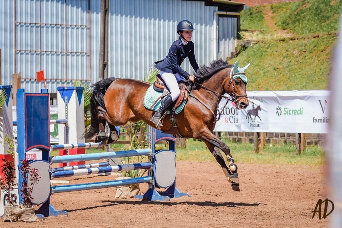 Campeã Gaúcha de Hipismo, passo-fundense de 11 anos é destaque nacional ...